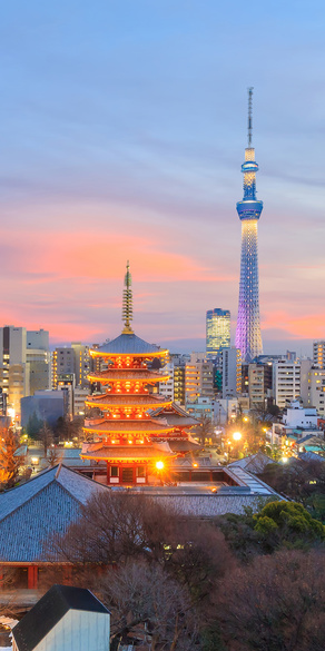 Discounted Rates for First and Business Class | GoFlyFirst